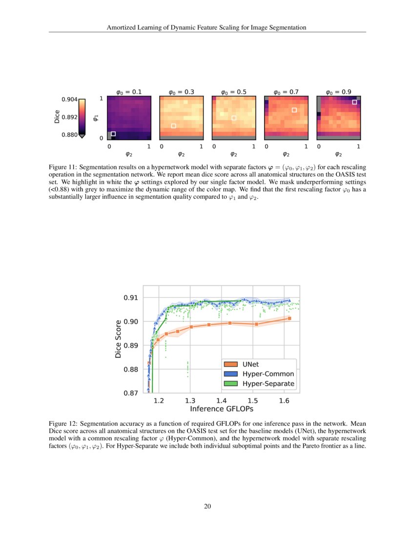 Amortized Learning Of Dynamic Feature Scaling For Image Segmentation
