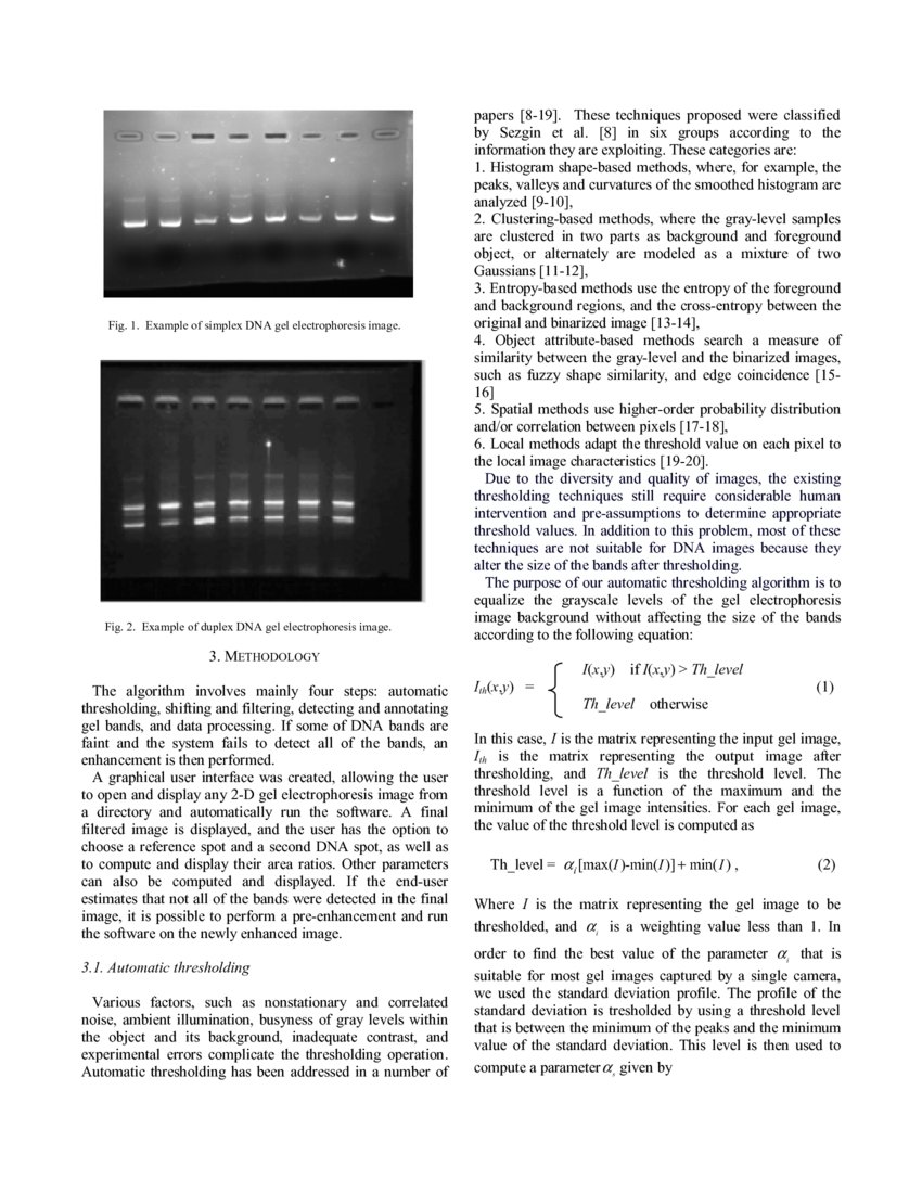 An Analysis System for DNA Gel Electrophoresis Images Based on ...