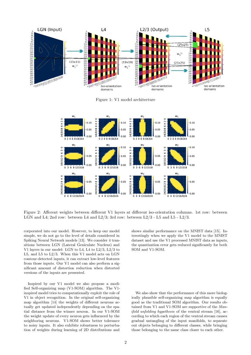 An anatomy-based V1 model: Extraction of Low-level Features, Reduction of distortion and a V1 ...