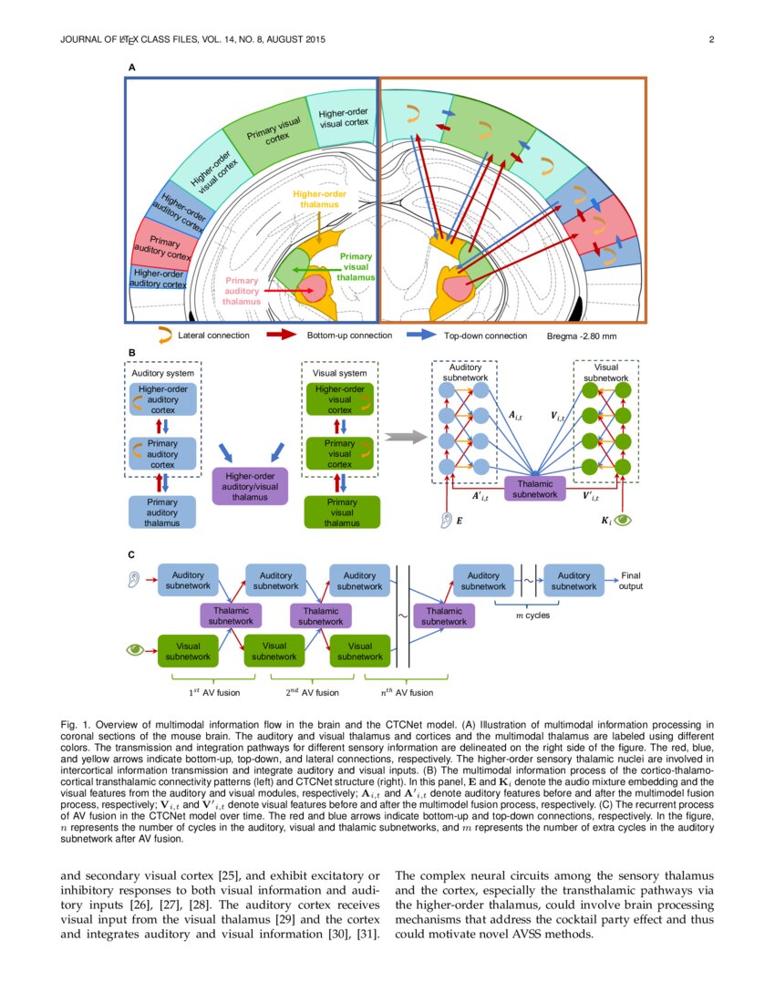 An Audio-Visual Speech Separation Model Inspired by Cortico-Thalamo-Cortical Circuits | DeepAI