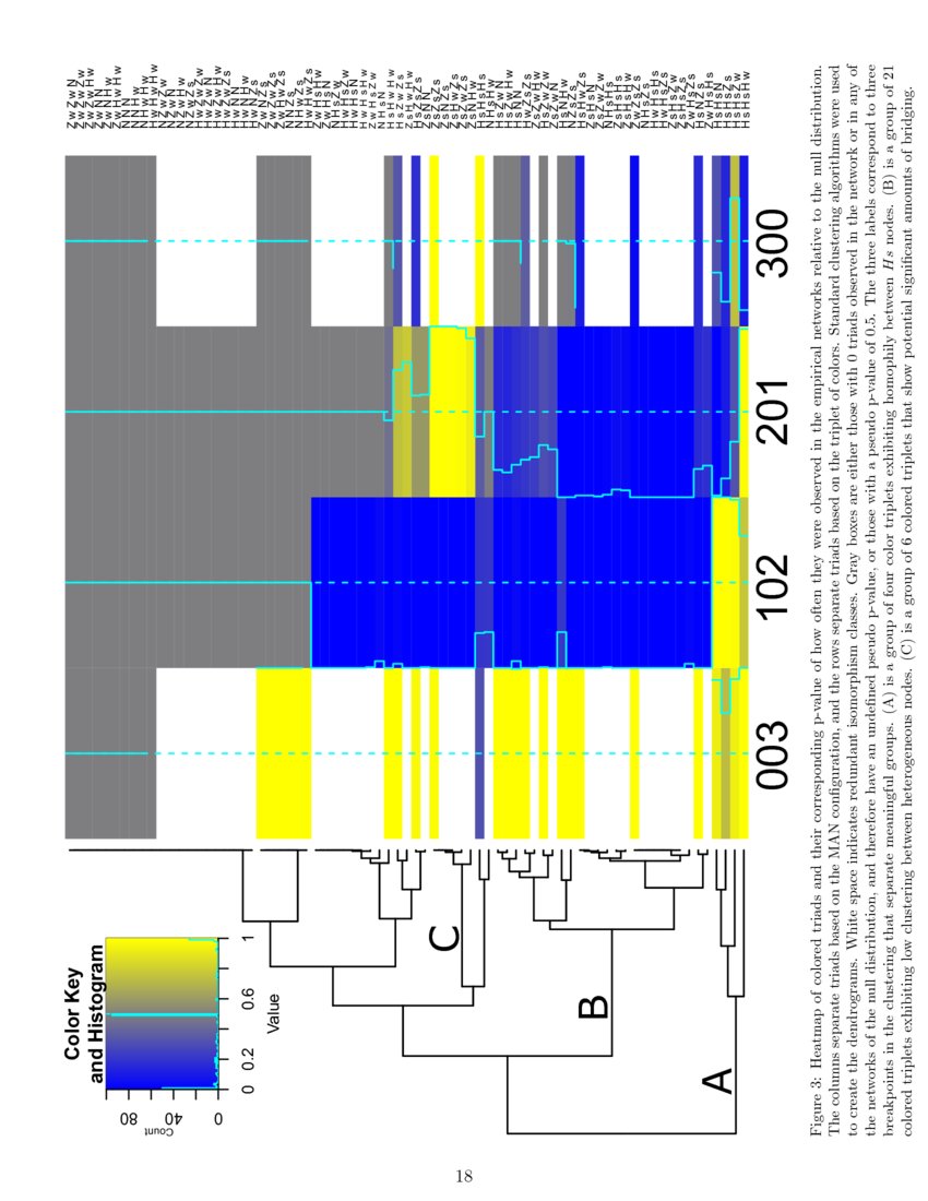 An efficient counting method for the colored triad census | DeepAI