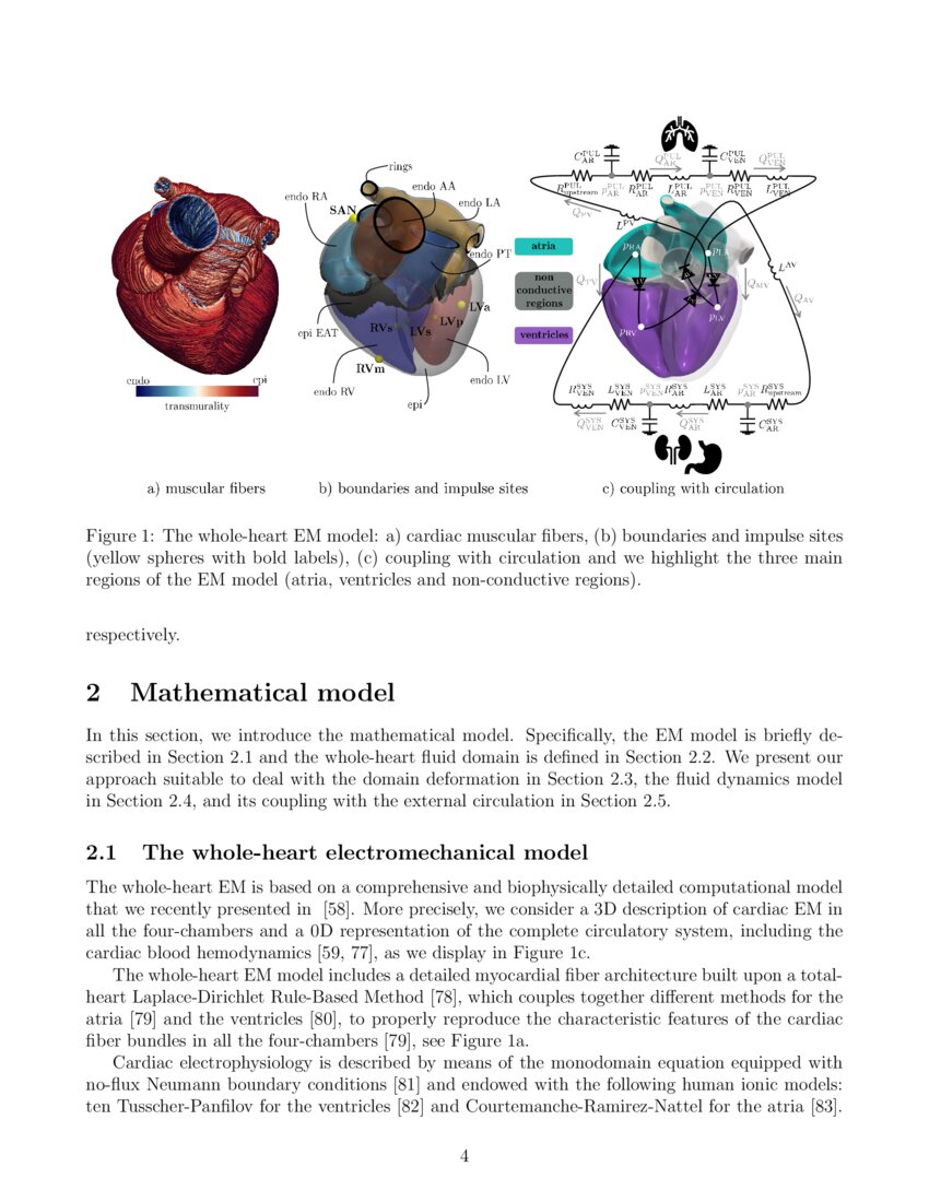 An electromechanics-driven fluid dynamics model for the simulation of the whole human heart | DeepAI