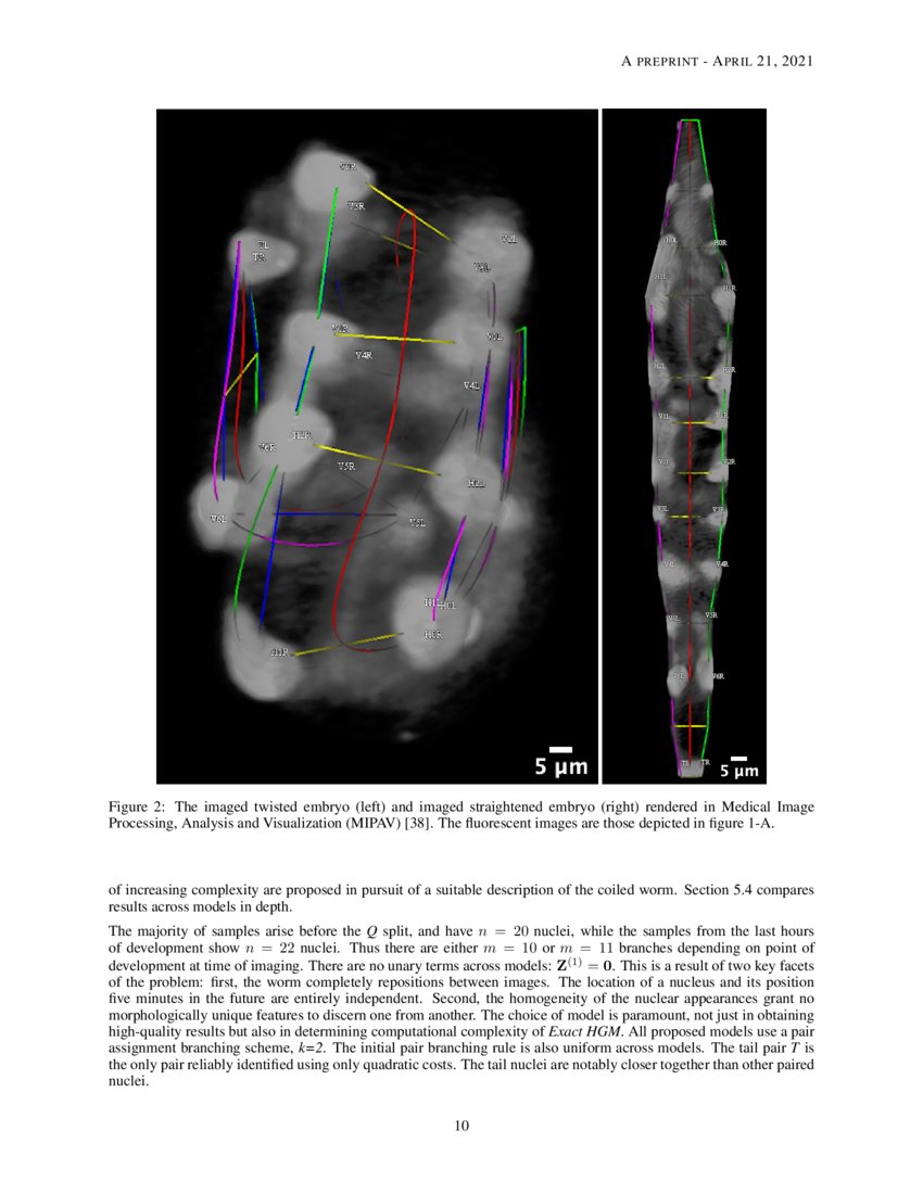 An Exact Hypergraph Matching Algorithm for Nuclear Identification in Embryonic Caenorhabditis ...