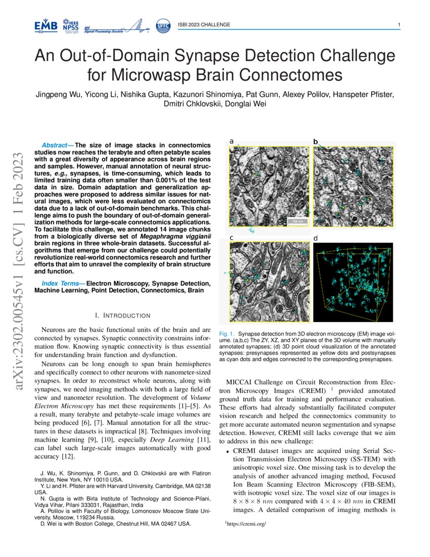 An Out-of-Domain Synapse Detection Challenge for Microwasp Brain Connectomes | DeepAI