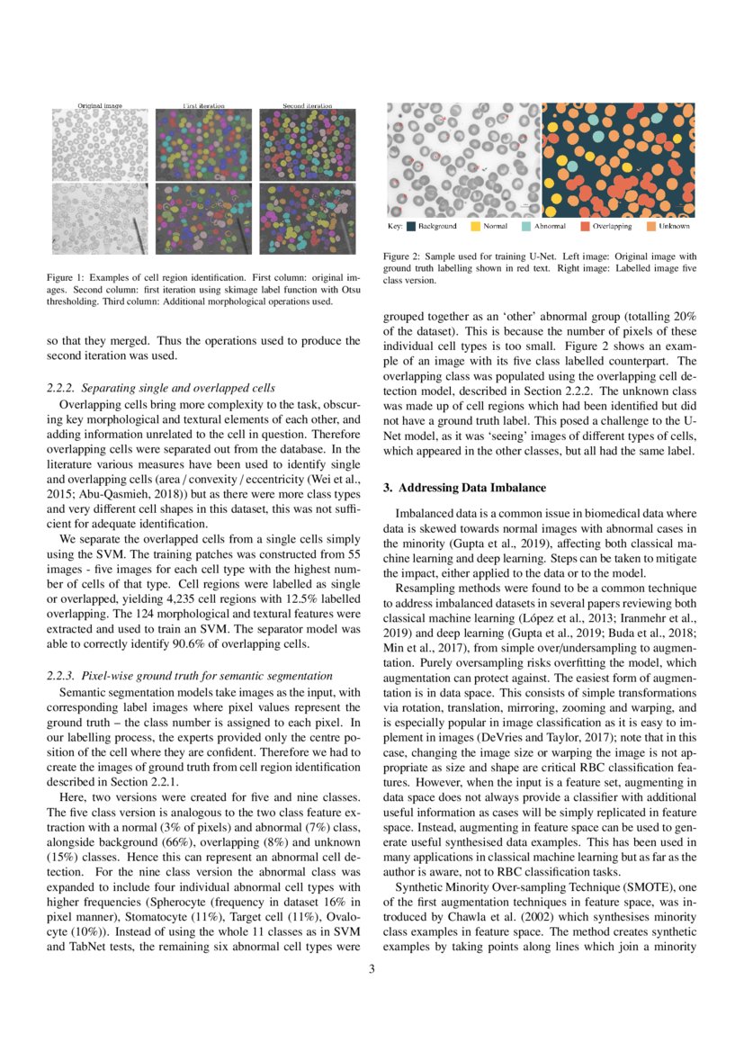 Analysis of Vision-based Abnormal Red Blood Cell Classification | DeepAI