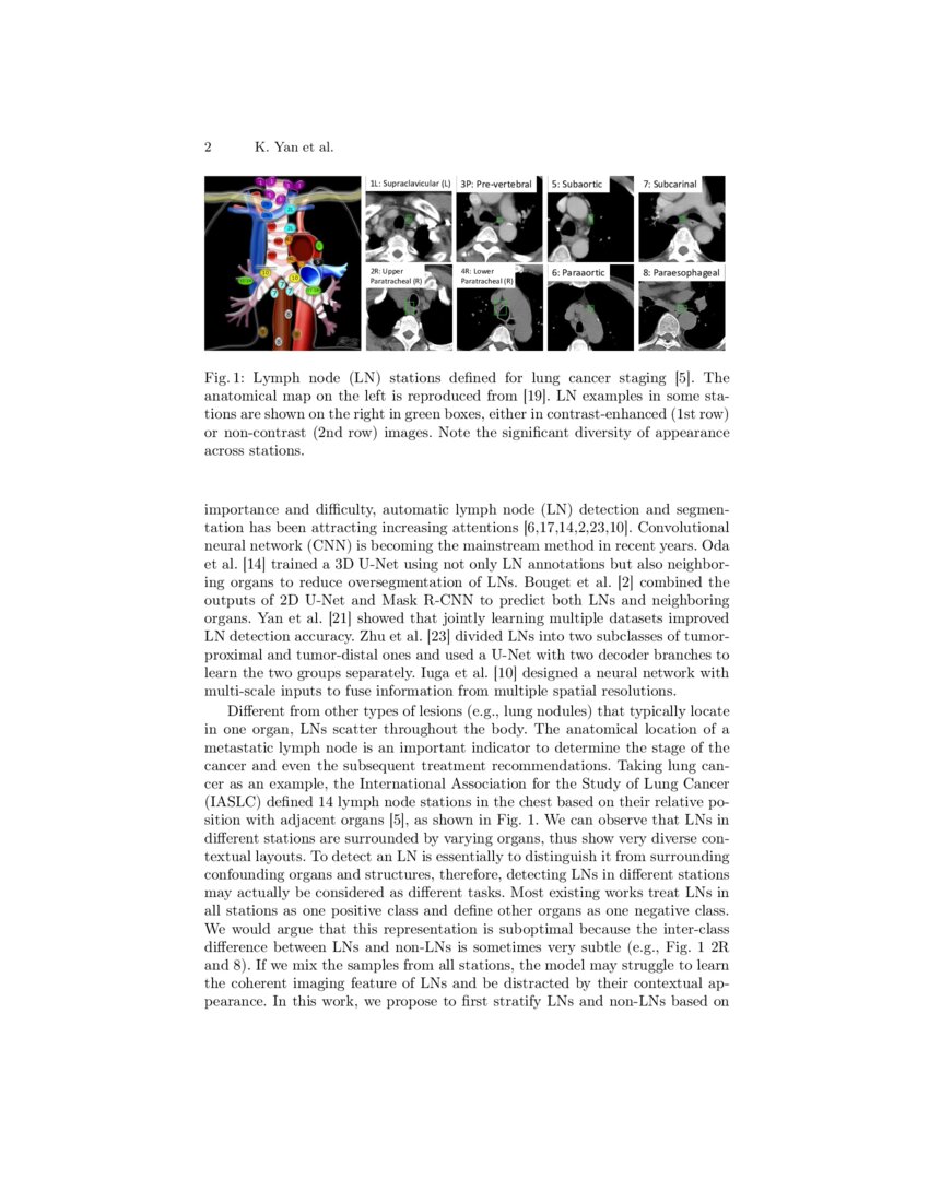 Anatomy Aware Lymph Node Detection In Chest Ct Using Implicit Station Stratification Deepai