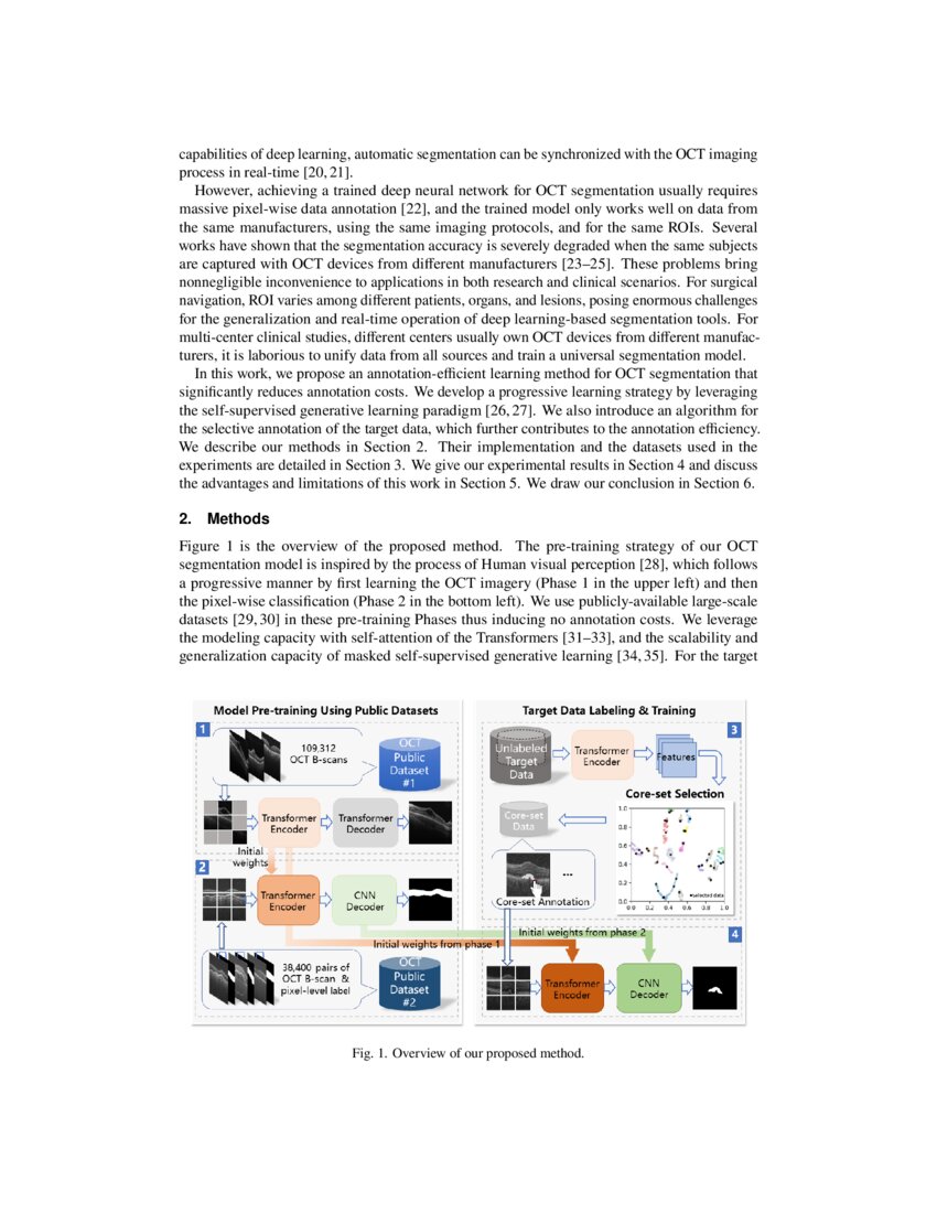Annotation-efficient learning for OCT segmentation | DeepAI