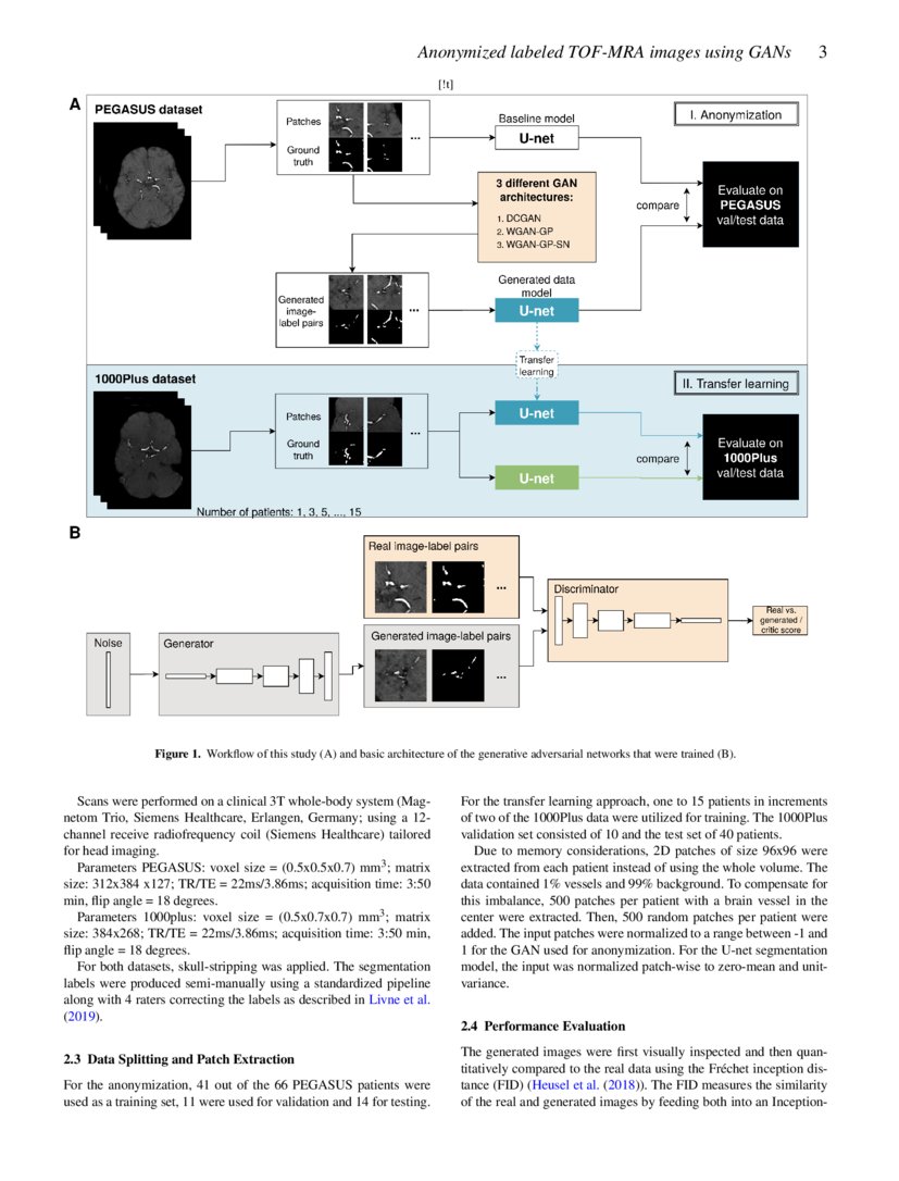 Anonymization of labeled TOF-MRA images for brain vessel segmentation ...