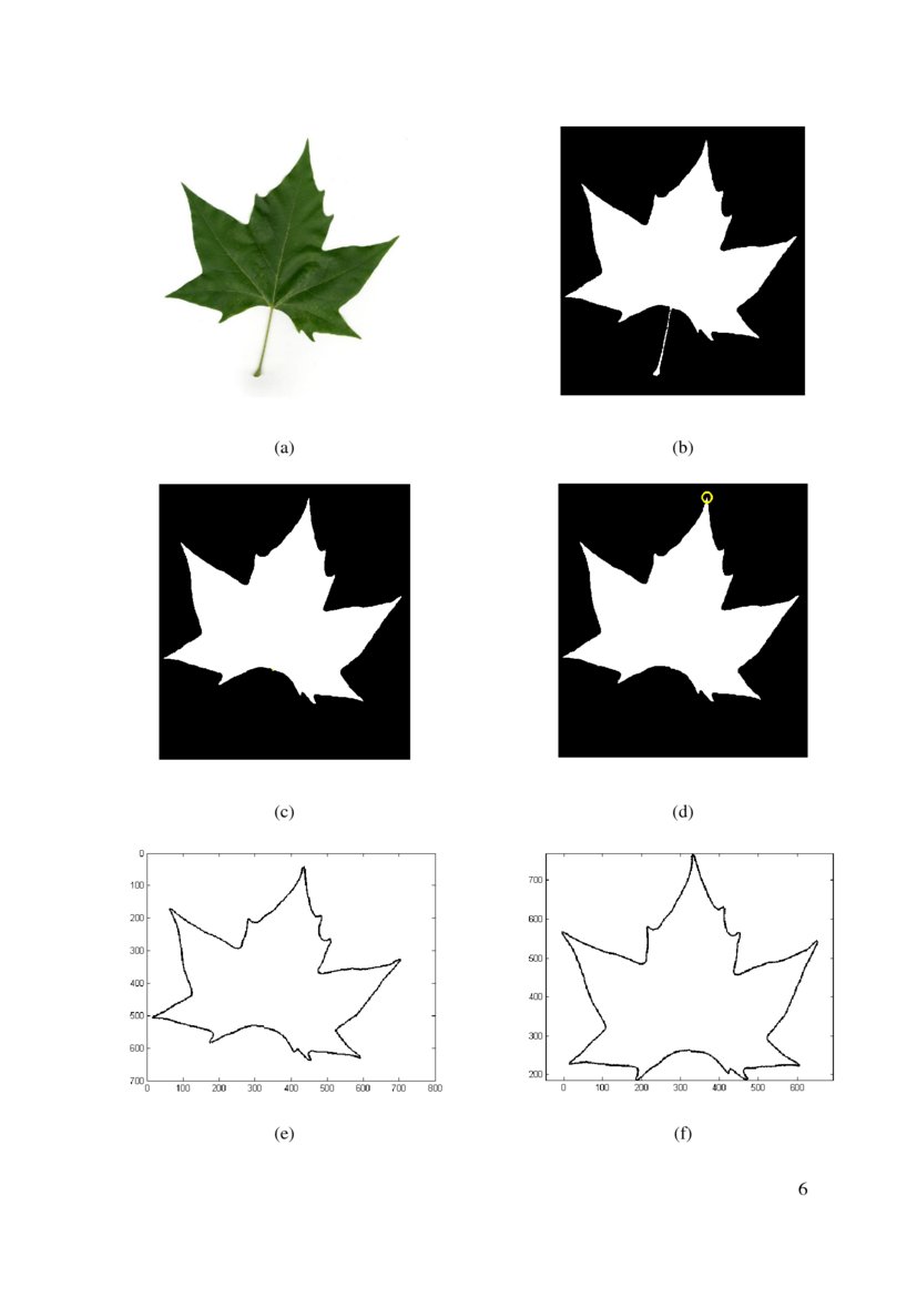 Architecture Based Classification Of Leaf Images DeepAI architecture-based-classification-of-leaf-images-deepai
