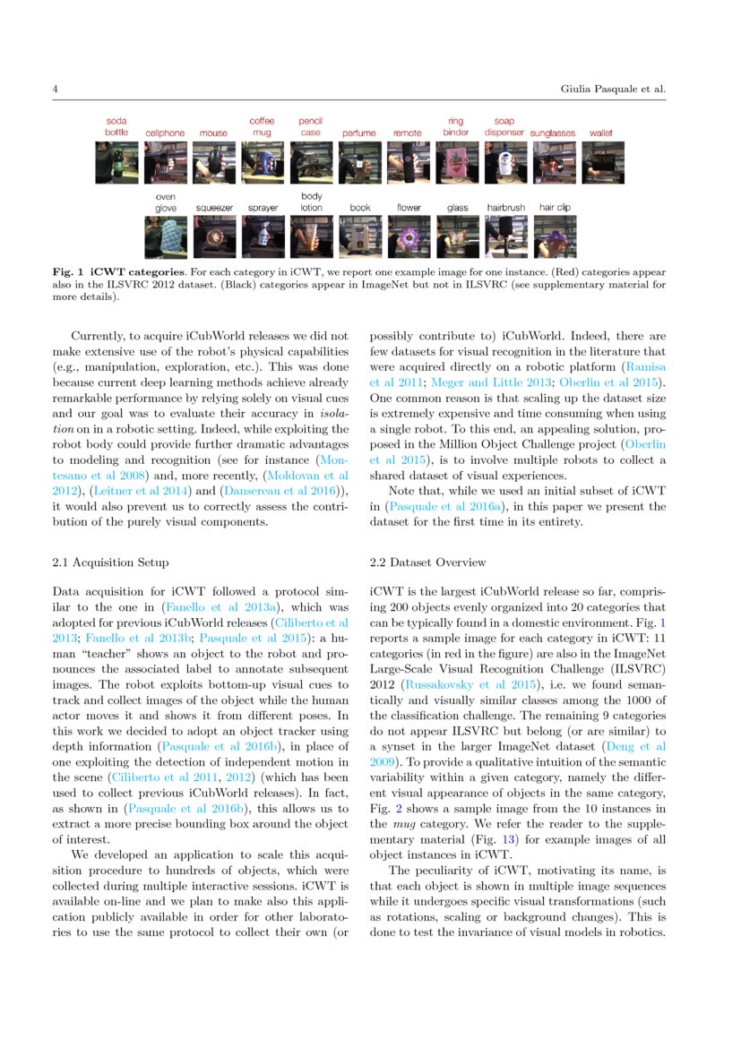 Are we Done with Object Recognition? The iCub robot's Perspective | DeepAI