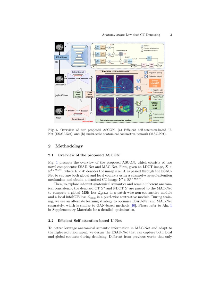 Ascon Anatomy Aware Supervised Contrastive Learning Framework For Low Dose Ct Denoising Deepai