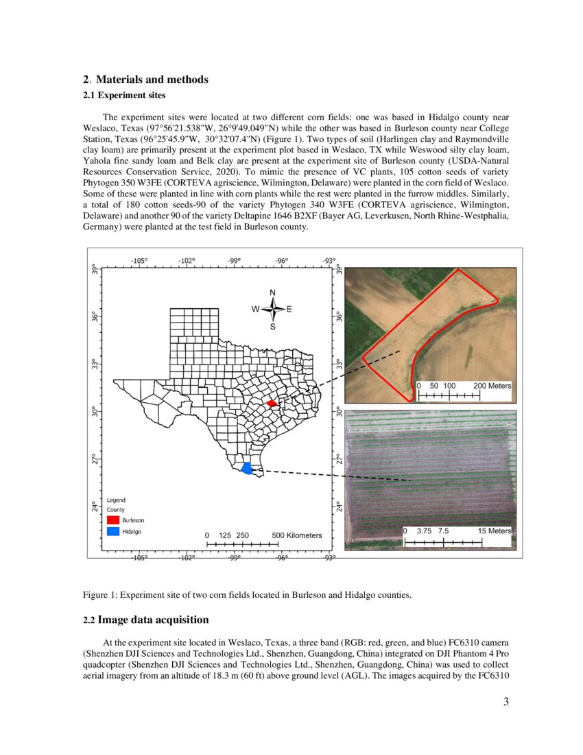 Assessing The Performance Of Yolov5 Algorithm For Detecting Volunteer Cotton Plants In Corn