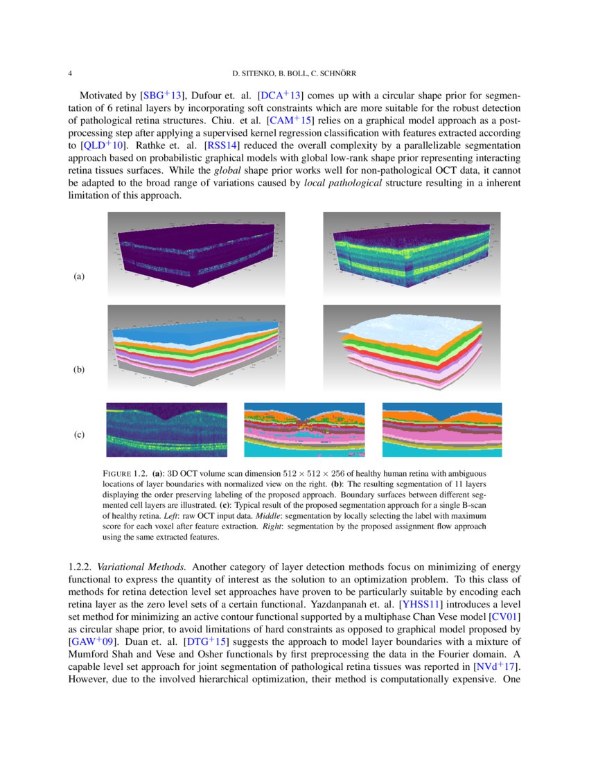 Assignment Flow For Order Constrained Oct Segmentation Deepai