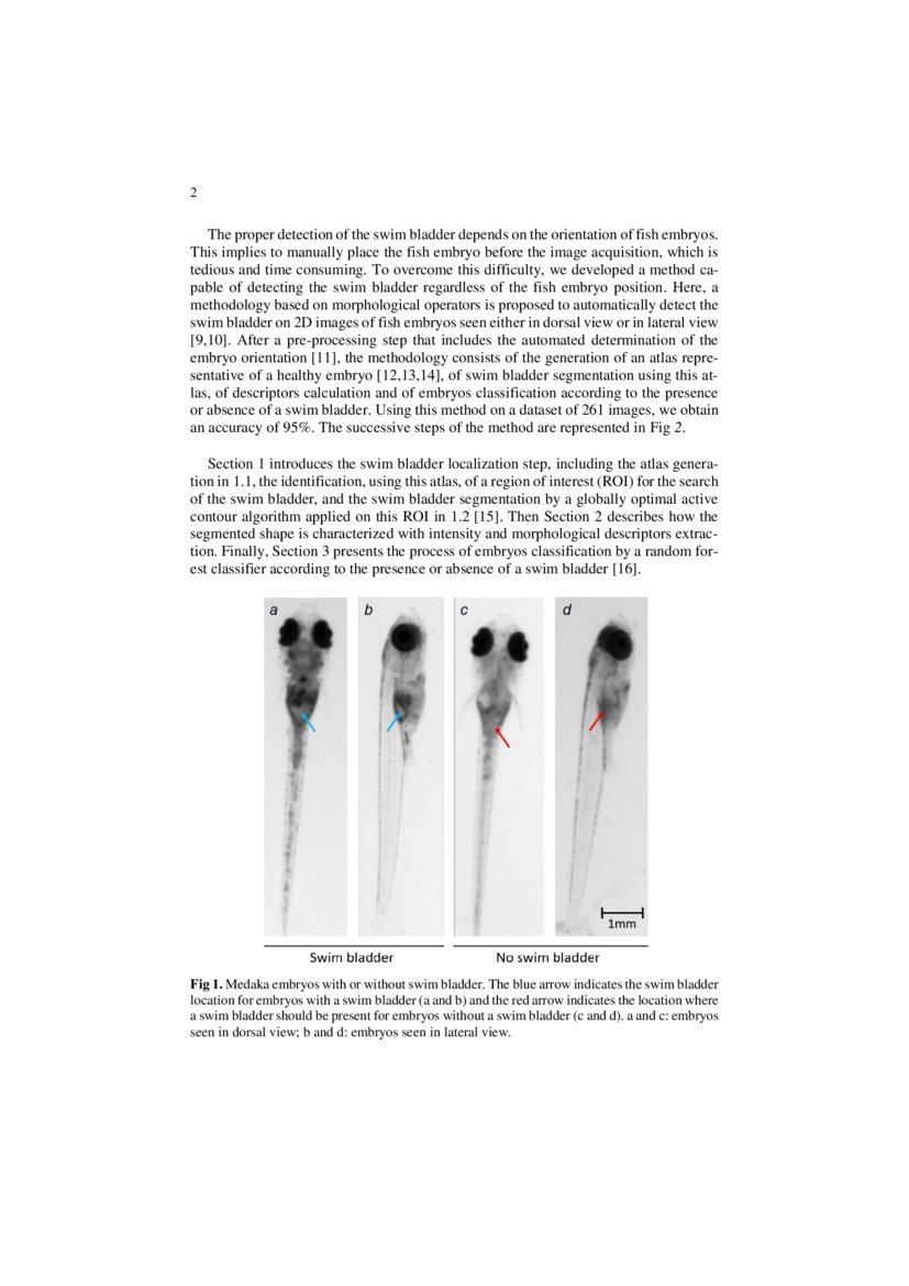 Atlas-based automated detection of swim bladder in Medaka embryo | DeepAI