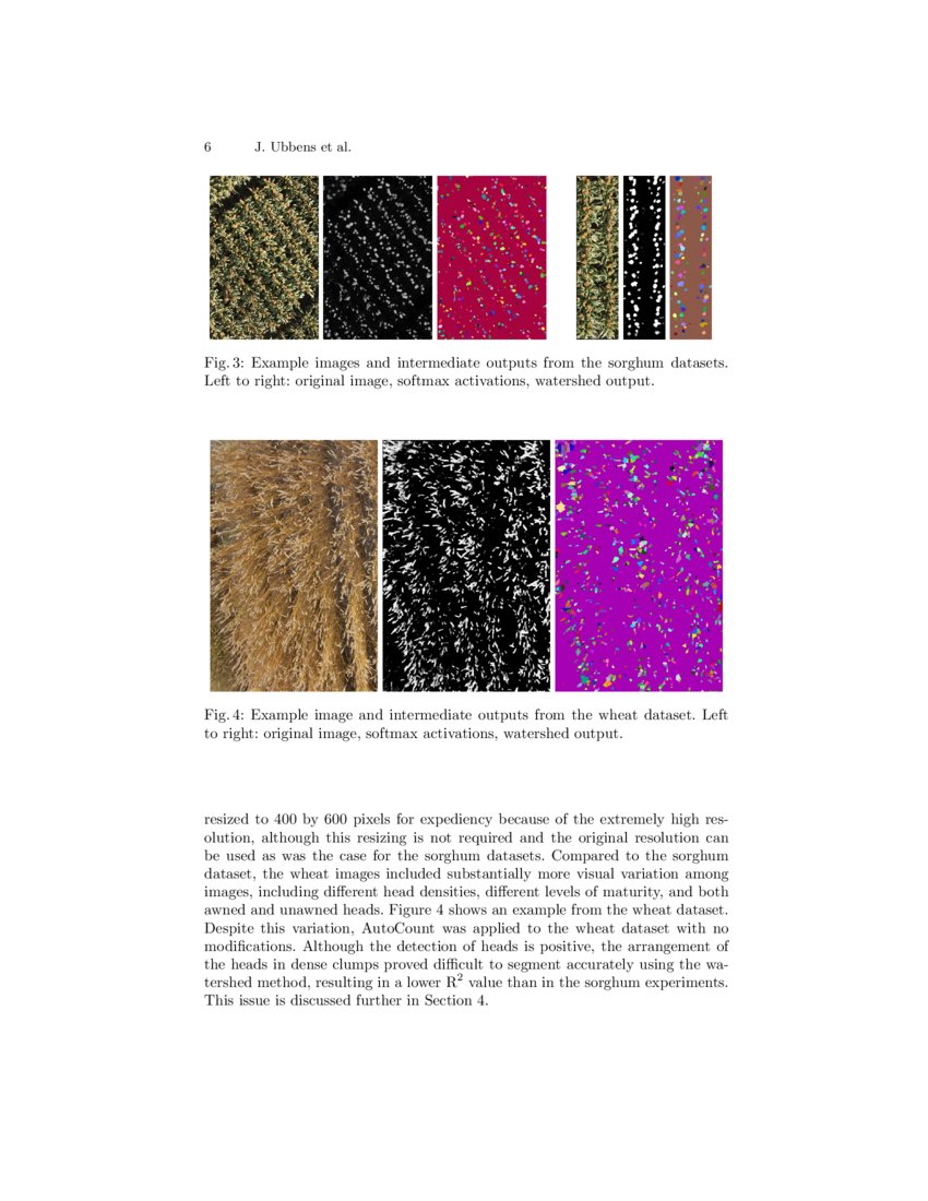 AutoCount: Unsupervised Segmentation and Counting of Organs in Field Images | DeepAI