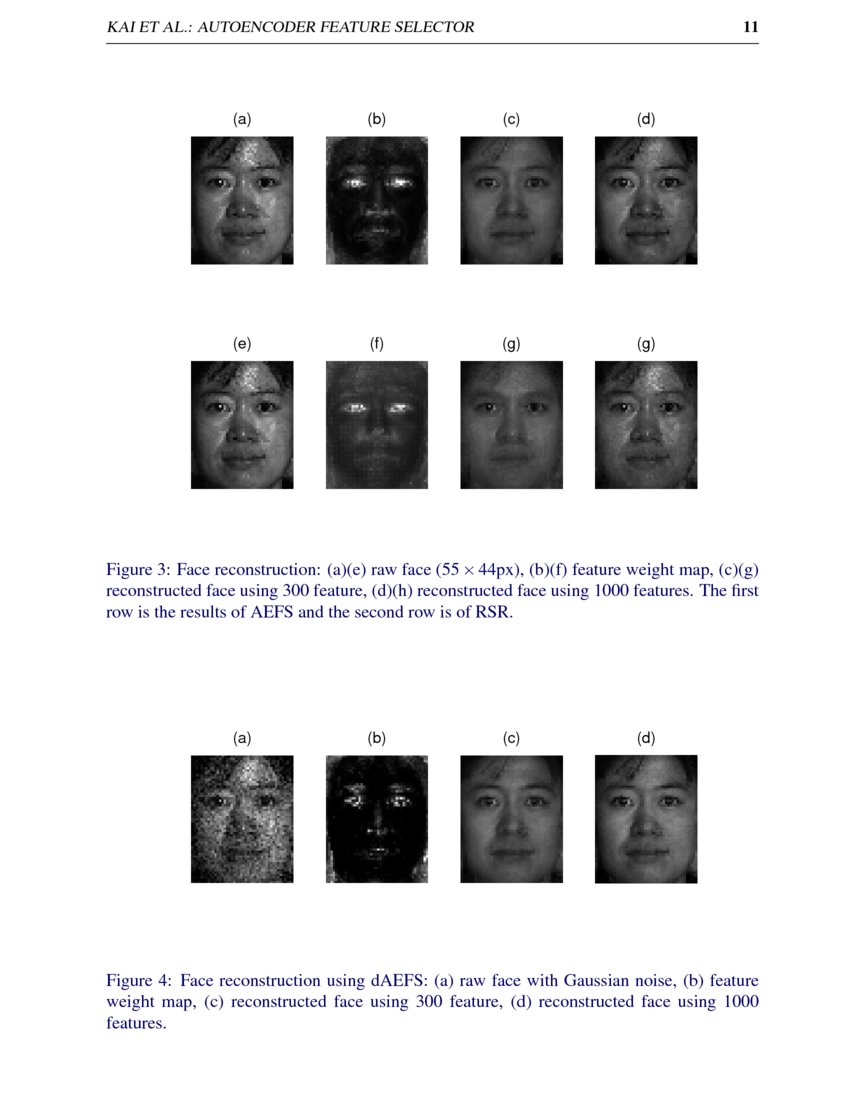 Autoencoder Feature Selector | DeepAI