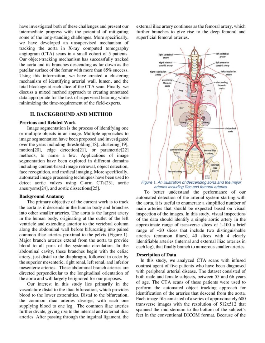Automated Analysis Of Femoral Artery Calcification Using Machine Learning Techniques Deepai