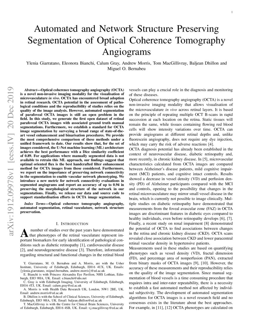 Automated And Network Structure Preserving Segmentation Of Optical