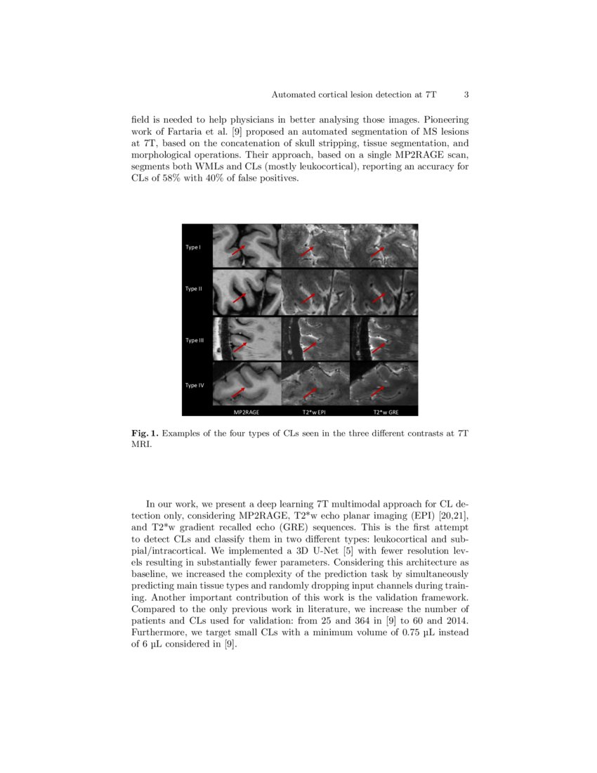 Automated Detection of Cortical Lesions in Multiple Sclerosis Patients with 7T MRI | DeepAI