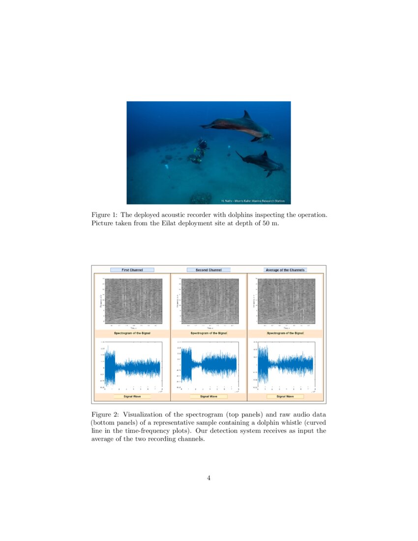 Automated Detection of Dolphin Whistles with Convolutional Networks and Transfer Learning | DeepAI