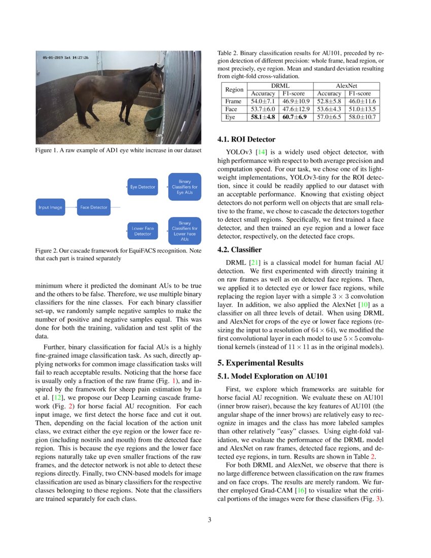 Automated Detection of Equine Facial Action Units | DeepAI