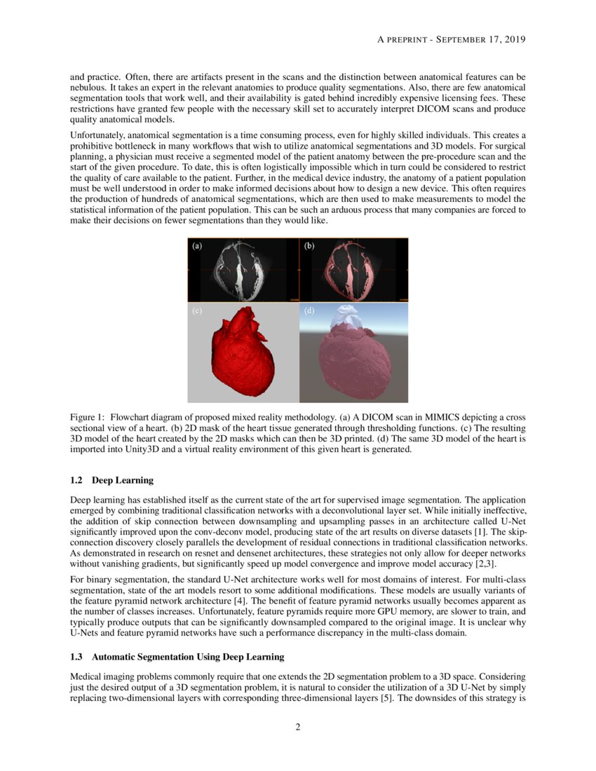 Automated Multiclass Cardiac Volume Segmentation and Model Generation ...