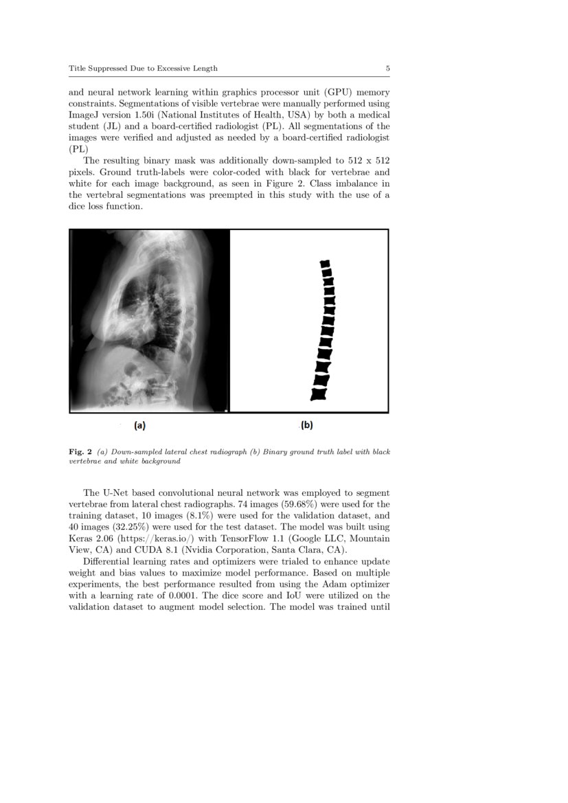 Automated Segmentation Of Vertebrae On Lateral Chest Radiography Using Deep Learning Deepai