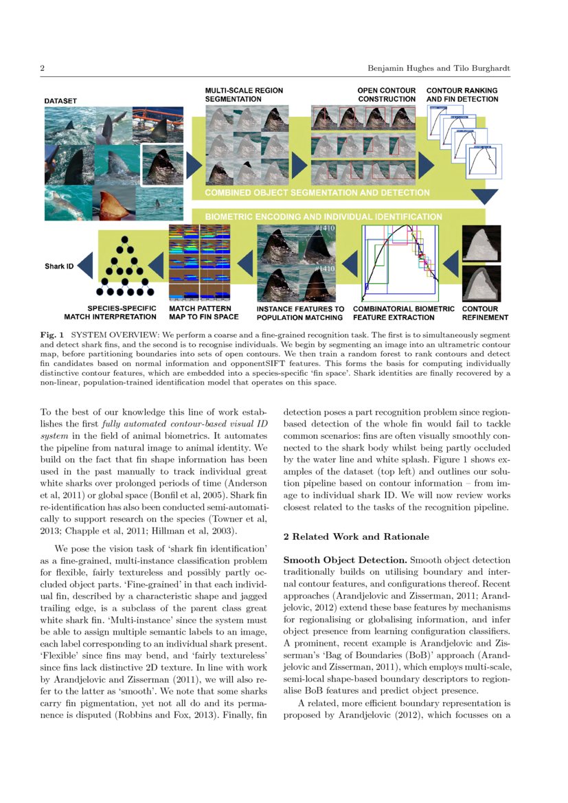 Automated Visual Fin Identification of Individual Great White Sharks ...