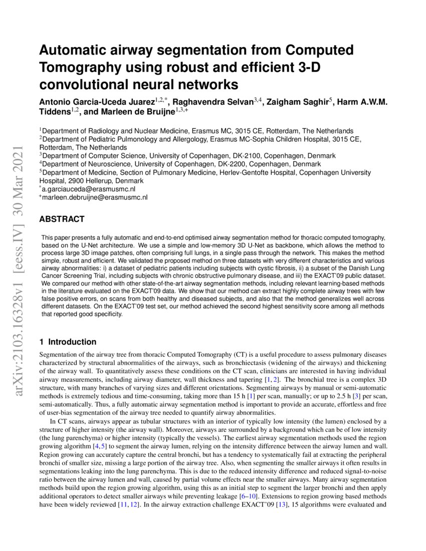 Automatic airway segmentation from Computed Tomography using robust and efficient 3-D ...