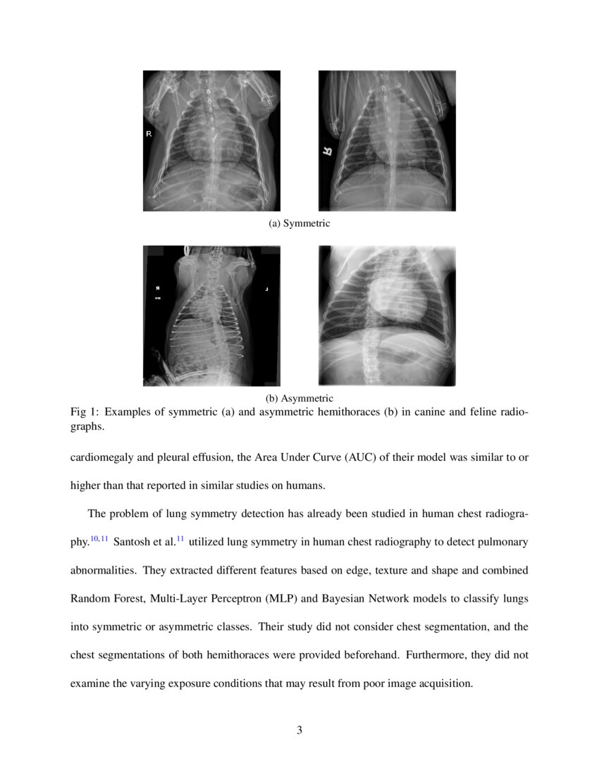 Automatic Classification of Symmetry of Hemithoraces in Canine and ...