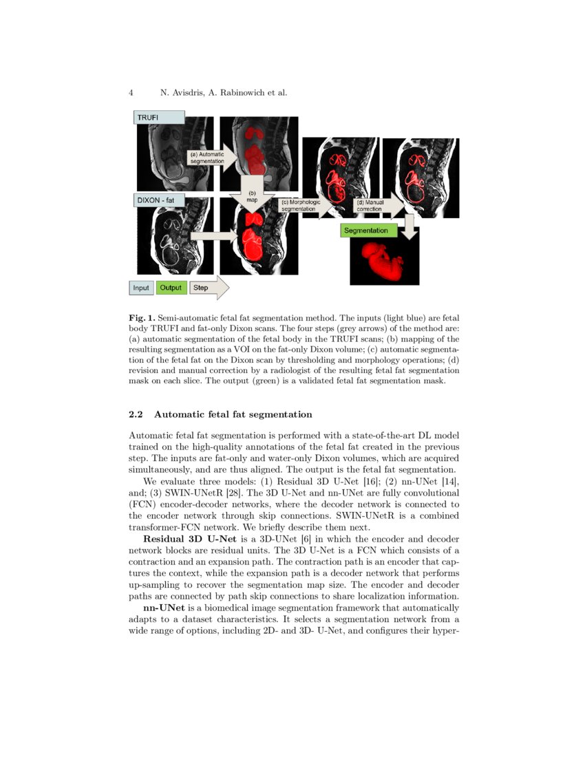Automatic fetal fat quantification from MRI | DeepAI