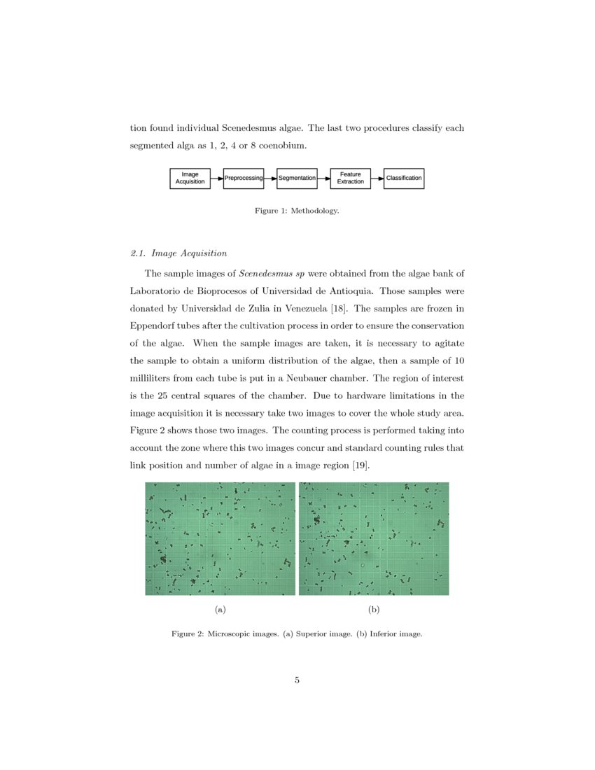 Automatic Identification of Scenedesmus Polymorphic Microalgae from ...