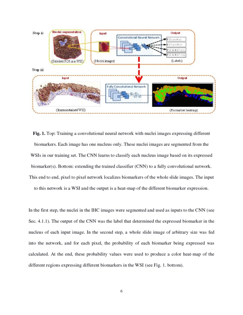 Automatic labeling of molecular biomarkers of whole slide immunohistochemistry images using ...