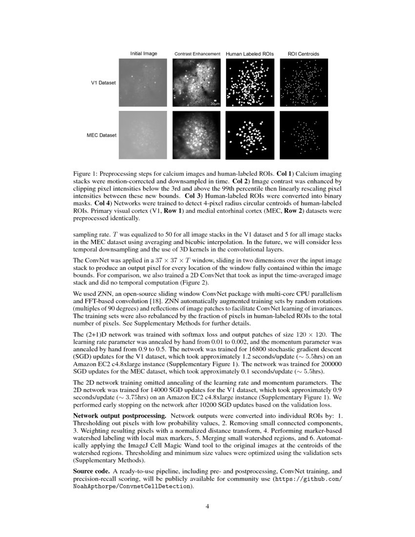 Automatic Neuron Detection in Calcium Imaging Data Using Convolutional Networks | DeepAI
