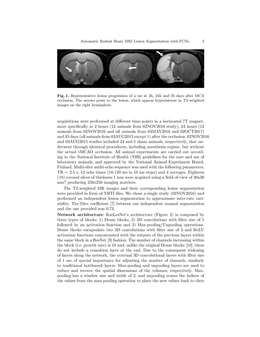 Automatic Rodent Brain Mri Lesion Segmentation With Fully Convolutional Networks Deepai