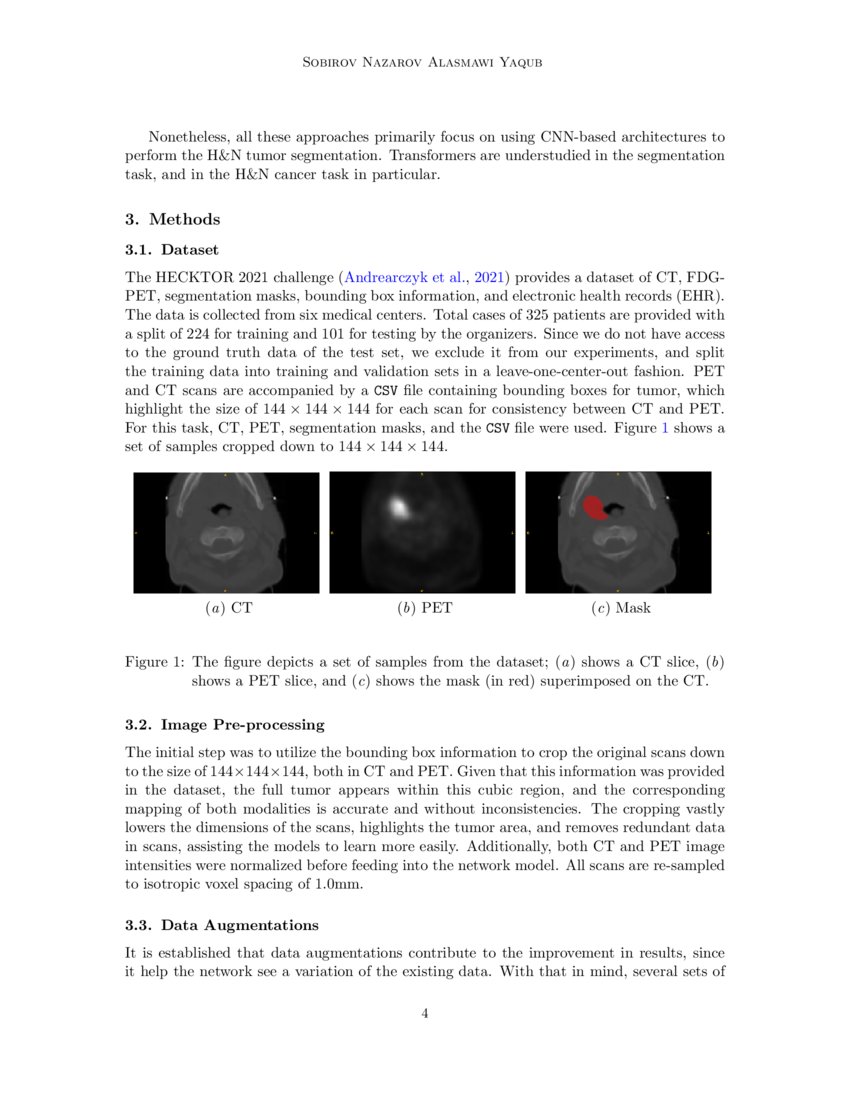 Automatic Segmentation of Head and Neck Tumor: How Powerful ...