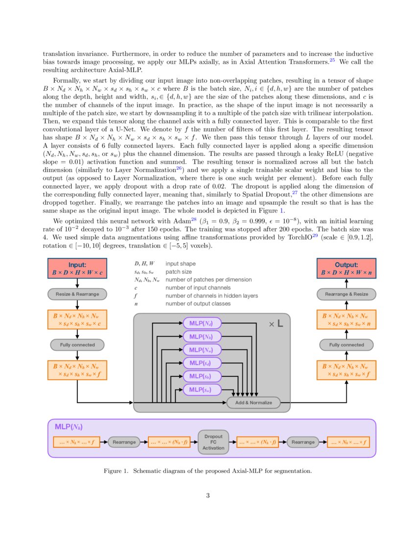 Axial multi-layer perceptron architecture for automatic segmentation of choroid plexus in ...