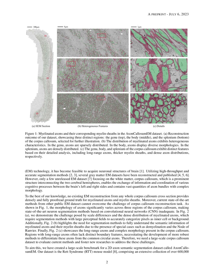 AxonCallosumEM Dataset: Axon Semantic Segmentation of Whole Corpus ...