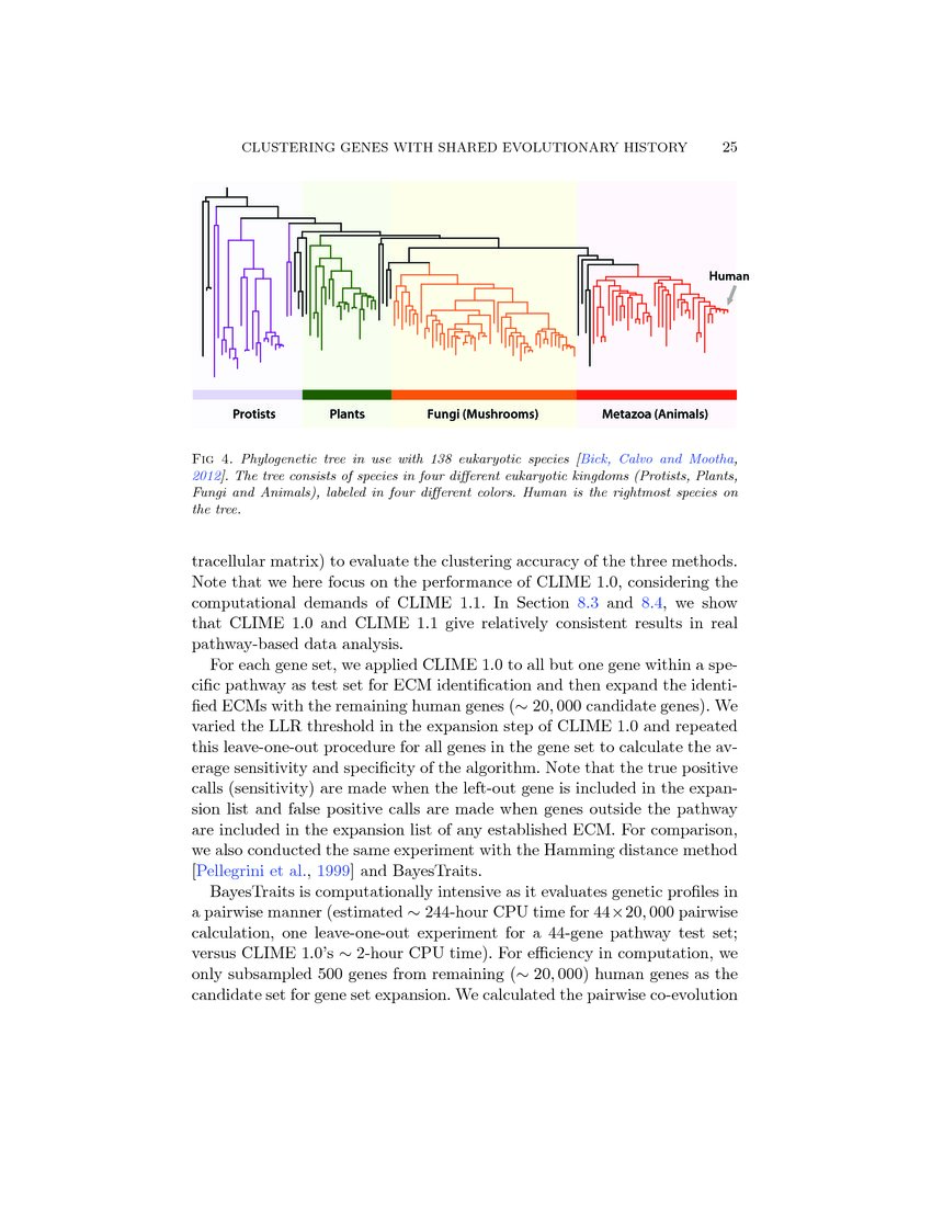 Bayesian Hidden Markov Tree Models for Clustering Genes with Shared ... Bayesian Hidden Markov Tree Models for Clustering Genes with Shared ...