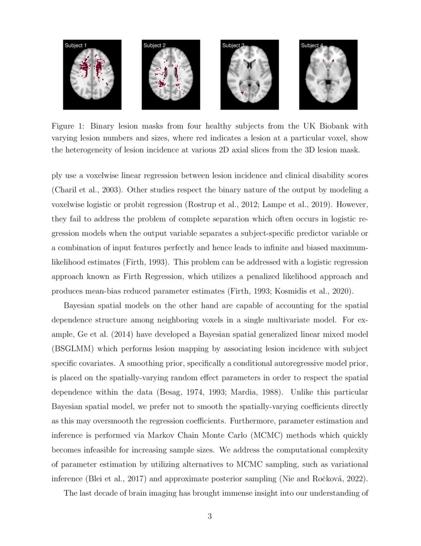 Bayesian Lesion Estimation with a Structured Spike-and-Slab Prior | DeepAI