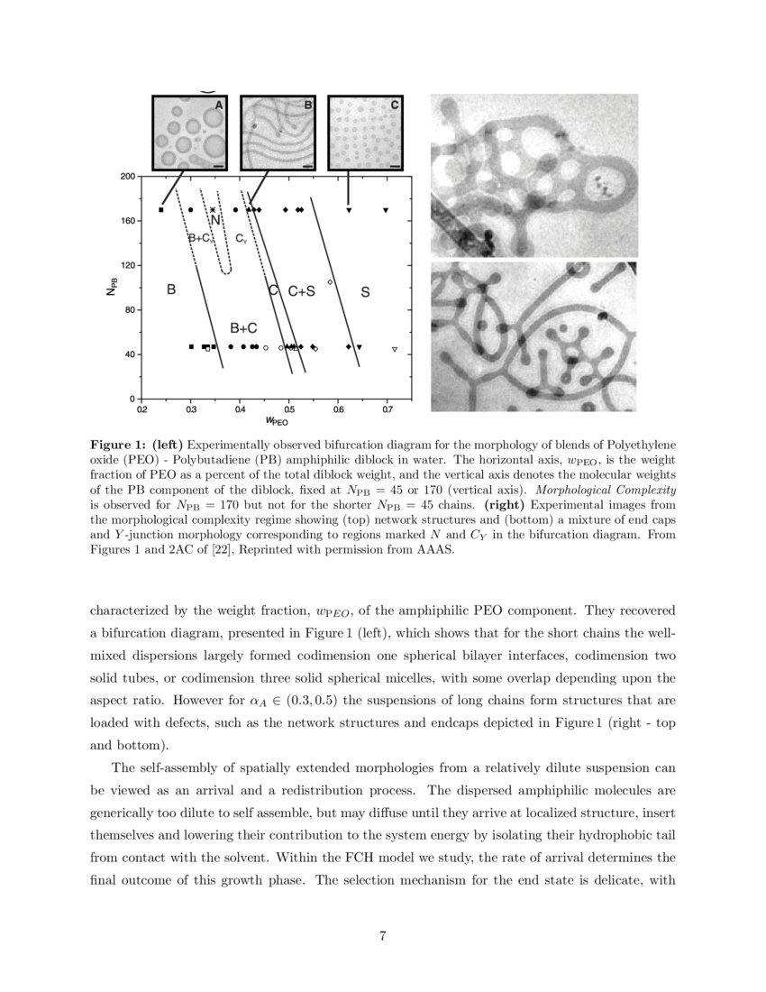 Benchmark Computation of Morphological Complexity in the Functionalized Cahn-Hilliard Gradient ...