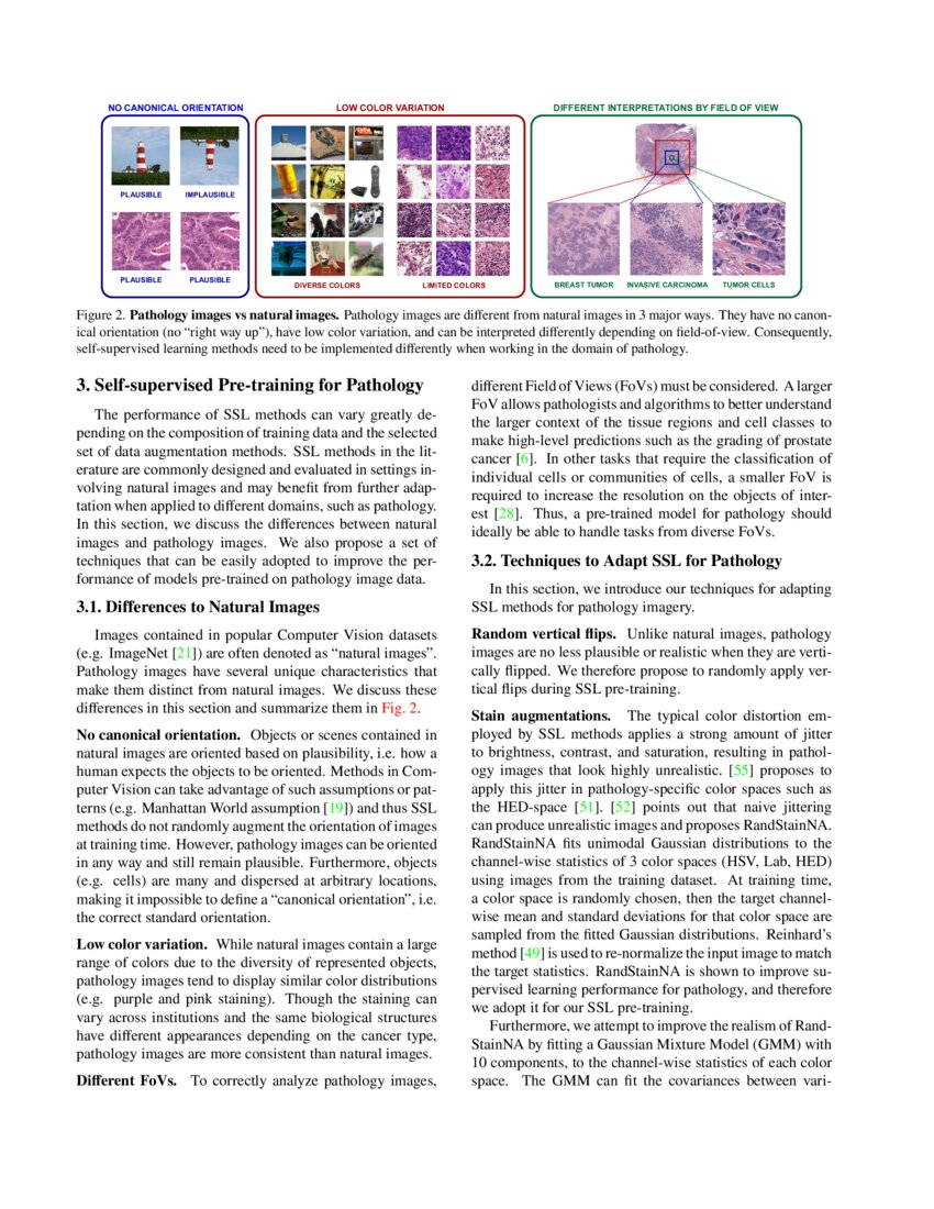 Benchmarking Self-Supervised Learning on Diverse Pathology Datasets | DeepAI