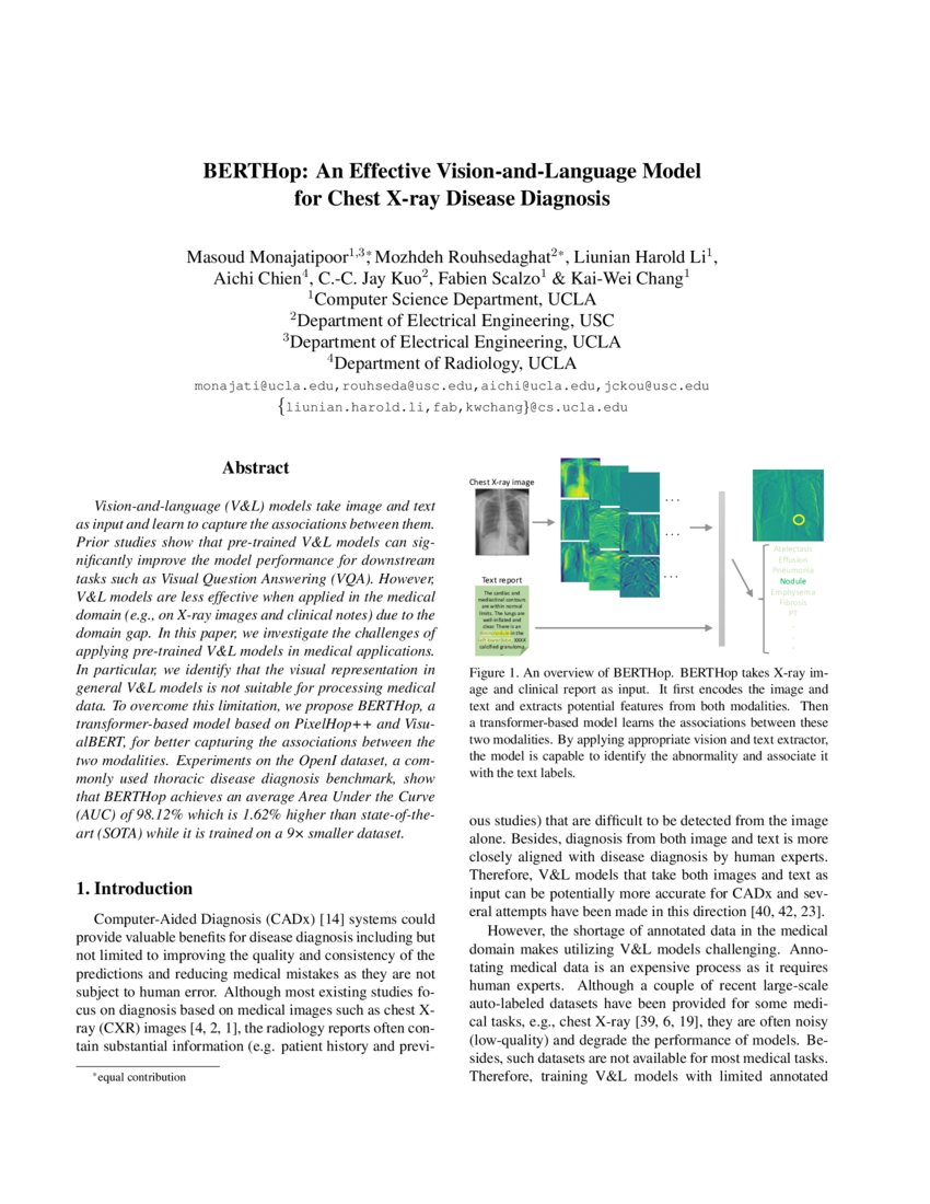 BERTHop: An Effective Vision-and-Language Model for Chest X-ray Disease ...