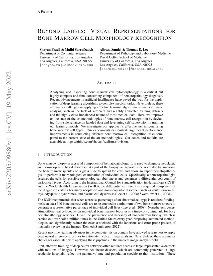 Beyond Labels: Visual Representations for Bone Marrow Cell Morphology ...