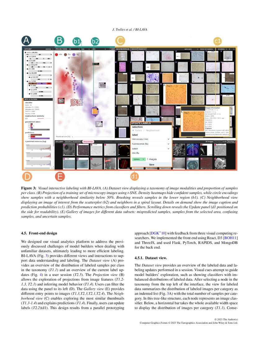 BI-LAVA: Biocuration with Hierarchical Image Labeling through Active ...