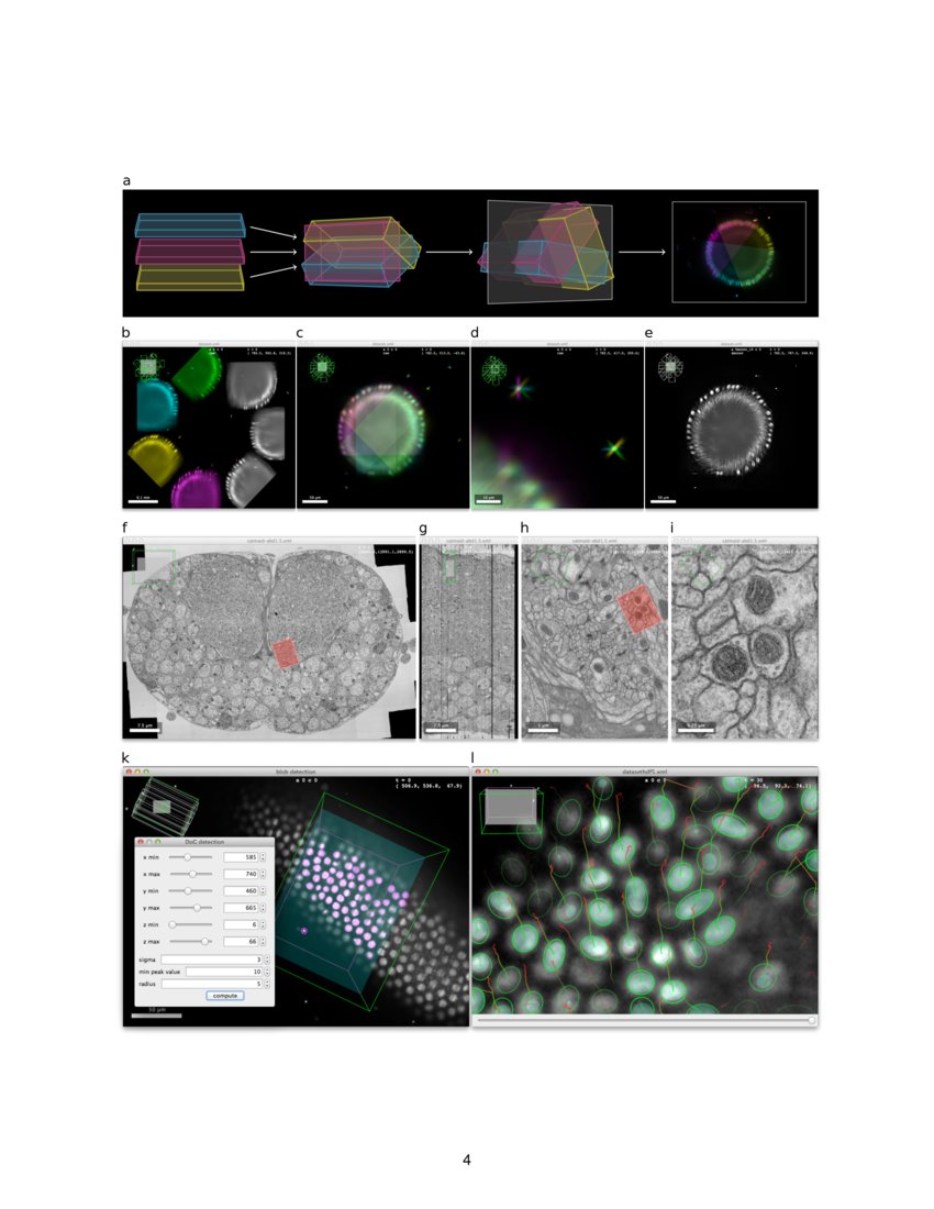 BigDataViewer: Interactive Visualization and Image Processing for Terabyte Data Sets | DeepAI
