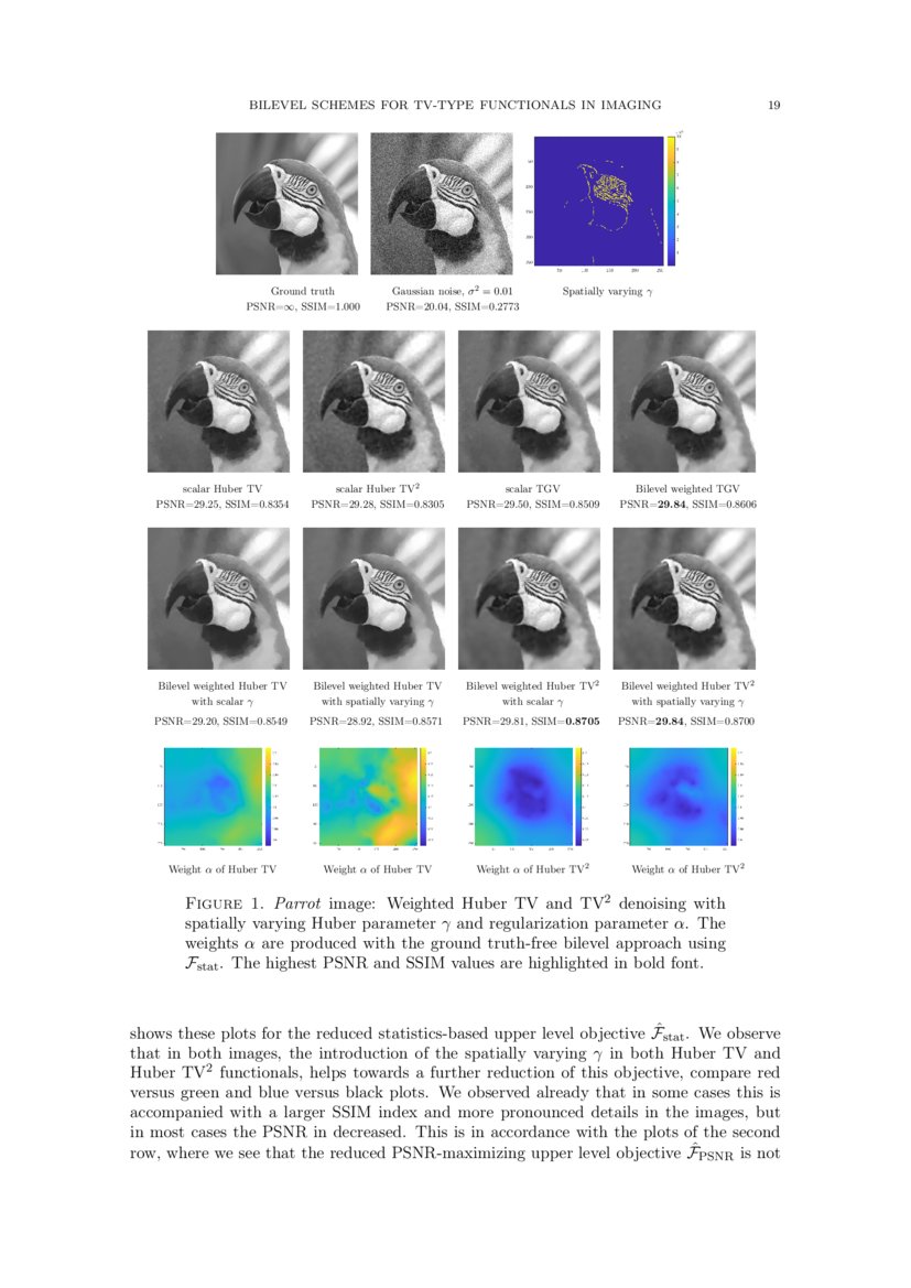 Bilevel Training Schemes In Imaging For Total Variation Type Functionals With Convex Integrands