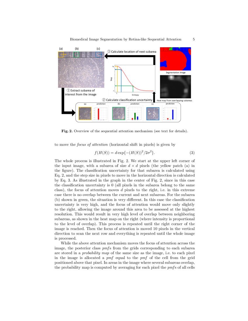 Biomedical Image Segmentation by Retina-like Sequential Attention ...