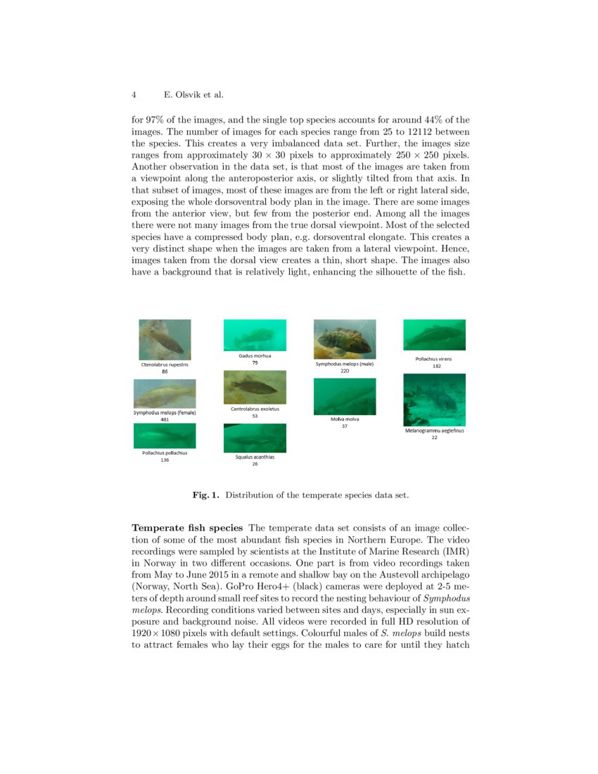 Biometric Fish Classification of Temperate Species Using Convolutional ...