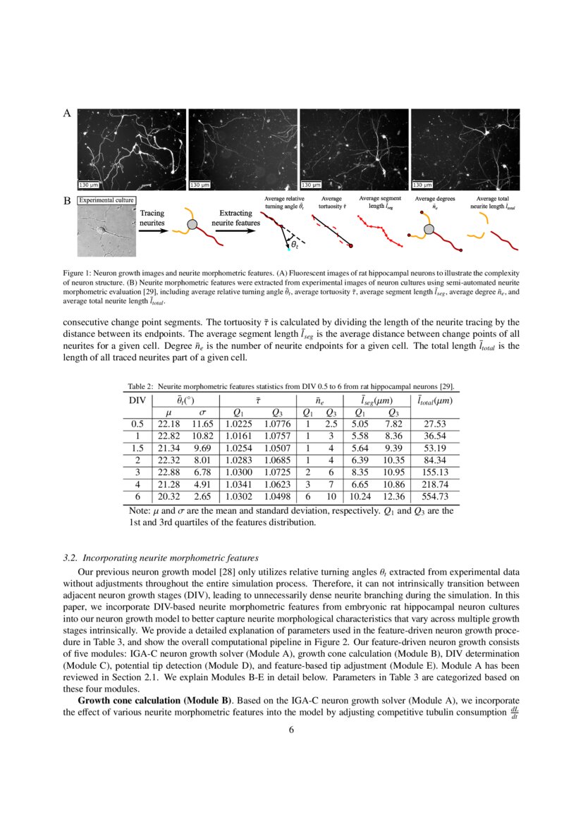 Biomimetic Iga Neuron Growth Modeling With Neurite Morphometric Features And Cnn Based